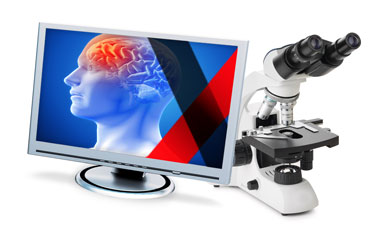 Health & Life Sciences - XENON Systems