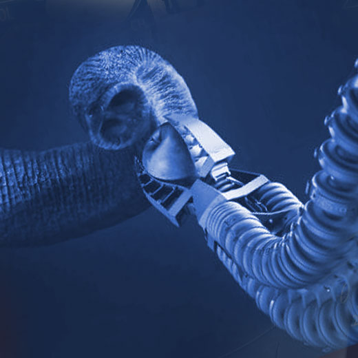 Robust Control Of Continuum Robots Using Cosserat Rod Theory Xenon Systems